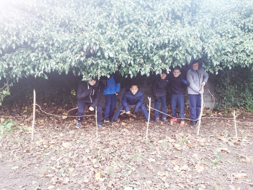 Great activity on yard